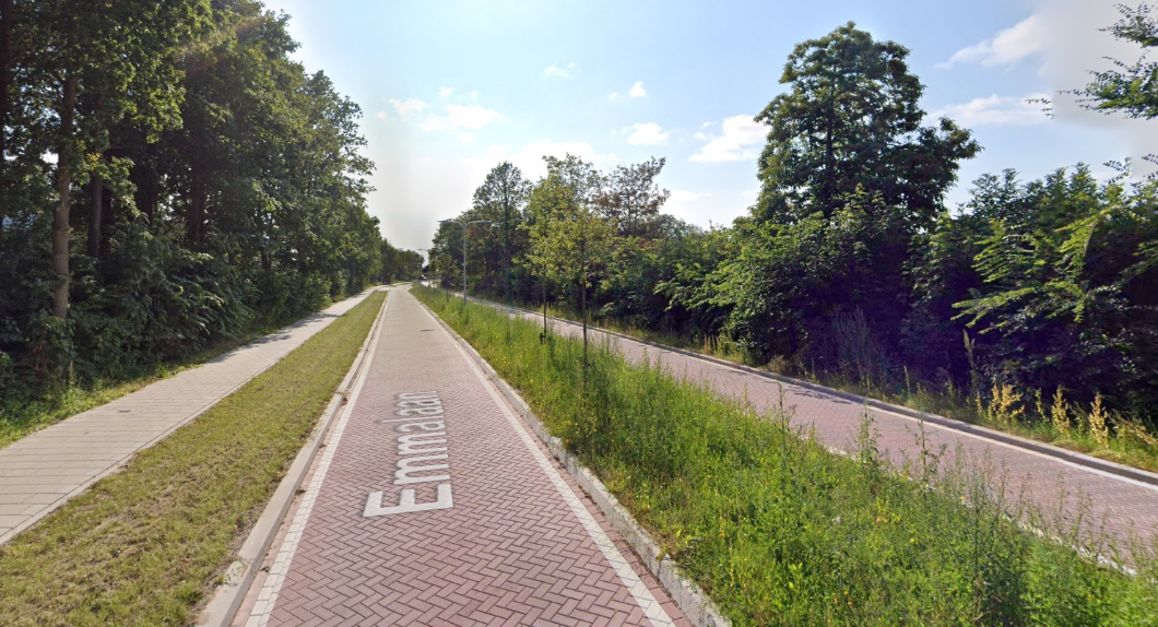 College legt fietspadvarianten Emmalaan voor aan gemeenteraad - Texel